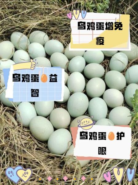 乌鸡蛋和普通鸡蛋哪个更营养_乌鸡蛋营养价值高吗-第2张图片-山城妙识 乌鸡蛋和普通鸡蛋哪个更营养_乌鸡蛋营养价值高吗-第2张图片-山城妙识