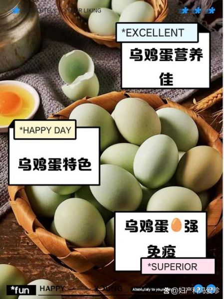 乌鸡蛋和普通鸡蛋哪个更营养_乌鸡蛋营养价值高吗-第3张图片-山城妙识 乌鸡蛋和普通鸡蛋哪个更营养_乌鸡蛋营养价值高吗-第3张图片-山城妙识