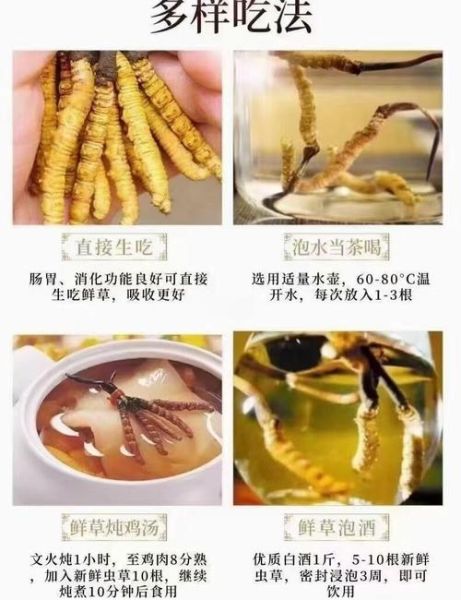 鲜冬虫夏草的功效与作用_鲜冬虫夏草怎么吃最好-第1张图片-山城妙识