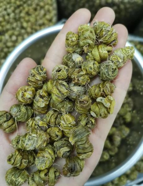 铁皮石斛不适合人群_哪些人不能吃铁皮石斛-第3张图片-山城妙识