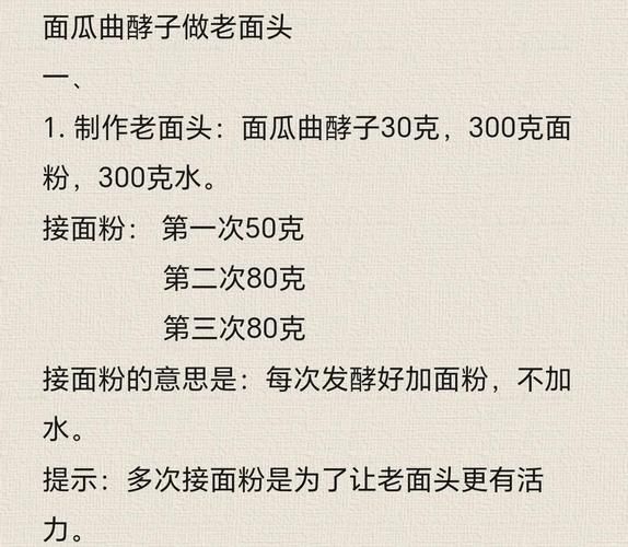 老面怎么发_老面馒头老面制作方法-第2张图片-山城妙识