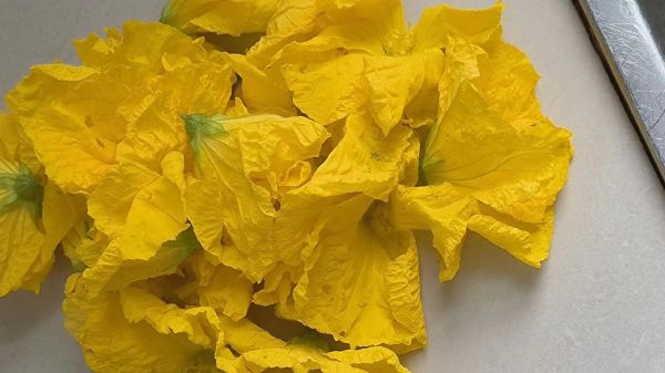 丝瓜花的功效与作用_丝瓜花怎么吃效果最好-第3张图片-山城妙识