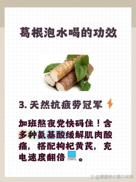 葛根泡水喝能解酒吗_葛根解酒七大功效-第3张图片-山城妙识 葛根泡水喝能解酒吗_葛根解酒七大功效-第3张图片-山城妙识