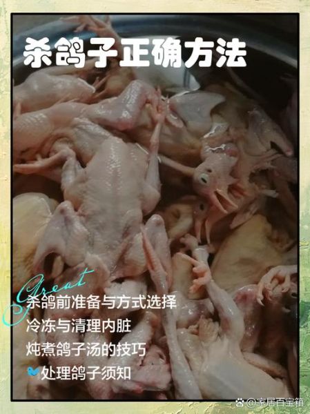 鸽子怎么杀是正确的_杀鸽子前需要准备什么-第1张图片-山城妙识