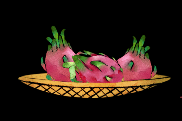 火龙果英语怎么读_发音技巧与例句-第3张图片-山城妙识