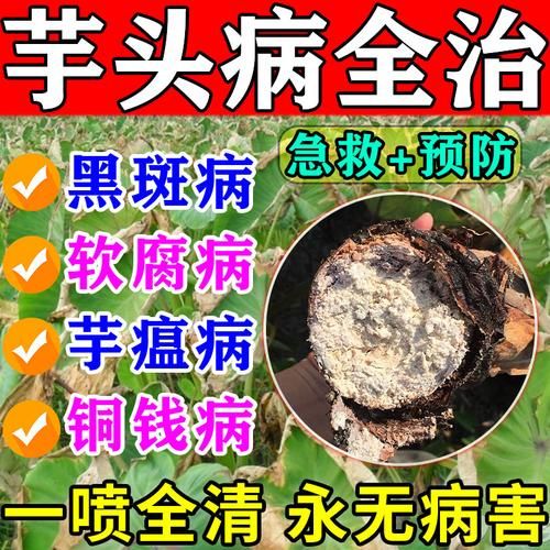 芋头花中毒症状_如何紧急处理-第1张图片-山城妙识