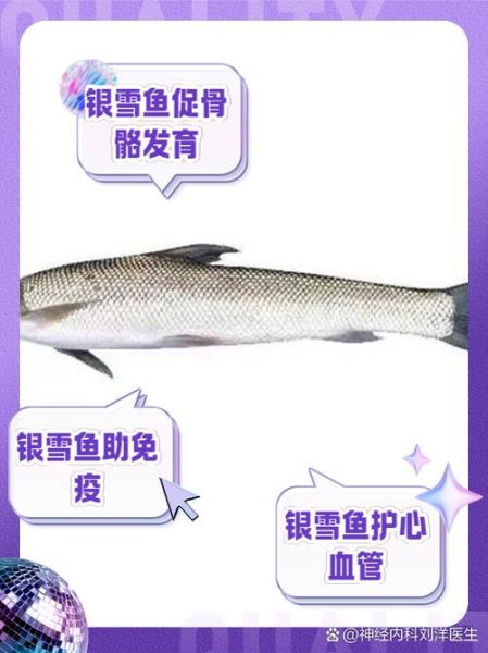 雪鱼多少钱一斤_雪鱼价格最新行情-第2张图片-山城妙识