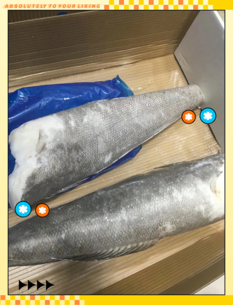 雪鱼多少钱一斤_雪鱼价格最新行情-第3张图片-山城妙识