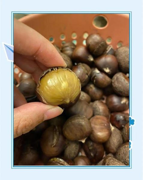 烤栗子烤箱温度和时间_烤栗子怎么烤不裂-第2张图片-山城妙识 烤栗子烤箱温度和时间_烤栗子怎么烤不裂-第2张图片-山城妙识