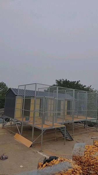 现代化鸽子养殖大棚怎么建_鸽子养殖大棚成本多少钱-第2张图片-山城妙识
