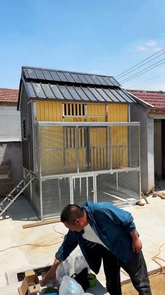 现代化鸽子养殖大棚怎么建_鸽子养殖大棚成本多少钱-第3张图片-山城妙识