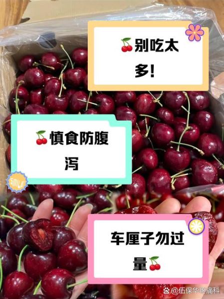 车厘子每天吃多少合适_车厘子吃多了会怎样-第1张图片-山城妙识 车厘子每天吃多少合适_车厘子吃多了会怎样-第1张图片-山城妙识