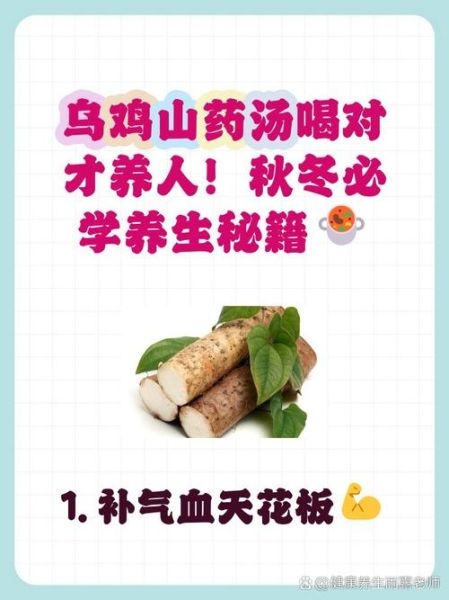 鸡炖山药的功效与禁忌_什么人不能吃-第1张图片-山城妙识 鸡炖山药的功效与禁忌_什么人不能吃-第1张图片-山城妙识