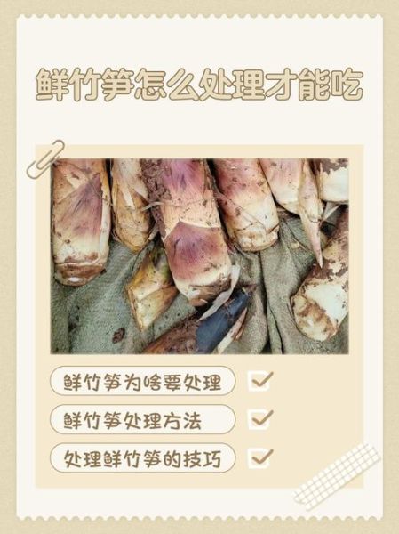 鲜笋怎么处理好吃_鲜笋怎么去除涩味-第1张图片-山城妙识 鲜笋怎么处理好吃_鲜笋怎么去除涩味-第1张图片-山城妙识