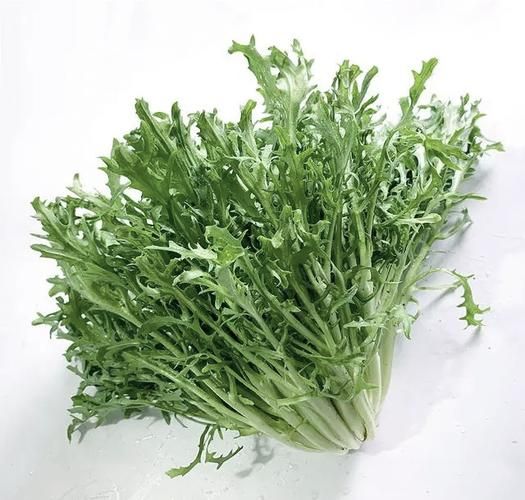 菊花菜和茼蒿的区别_哪个更好吃-第2张图片-山城妙识 菊花菜和茼蒿的区别_哪个更好吃-第2张图片-山城妙识