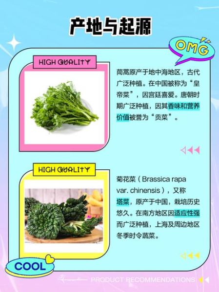 菊花菜和茼蒿的区别_哪个更好吃-第1张图片-山城妙识 菊花菜和茼蒿的区别_哪个更好吃-第1张图片-山城妙识