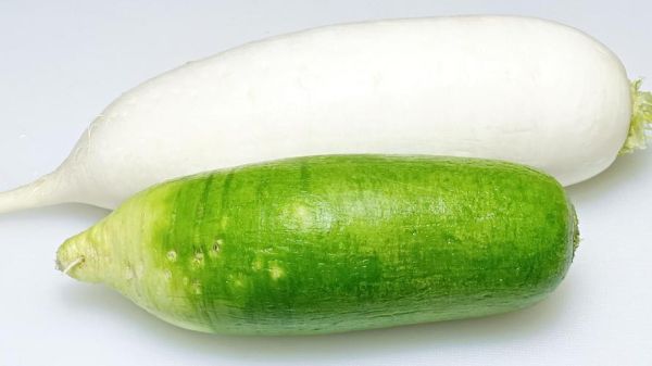 萝卜视频脖起来才有劲_怎么玩才更爽-第2张图片-山城妙识 萝卜视频脖起来才有劲_怎么玩才更爽-第2张图片-山城妙识