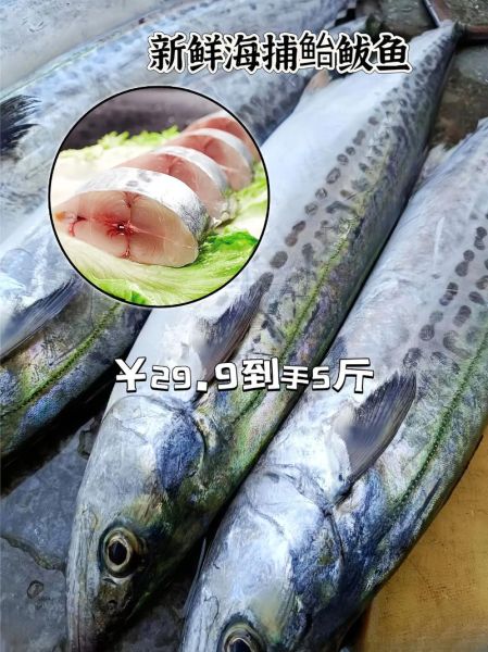 巴鱼是什么_巴鱼怎么吃才安全-第2张图片-山城妙识 巴鱼是什么_巴鱼怎么吃才安全-第2张图片-山城妙识