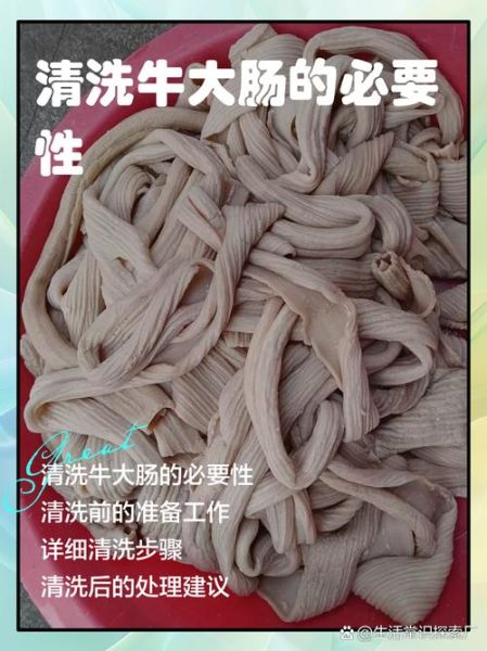 牛肠怎么清洗才干净_牛肠清洗步骤图解-第1张图片-山城妙识