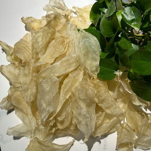 白花胶多少钱一斤_白花胶价格影响因素-第3张图片-山城妙识 白花胶多少钱一斤_白花胶价格影响因素-第3张图片-山城妙识