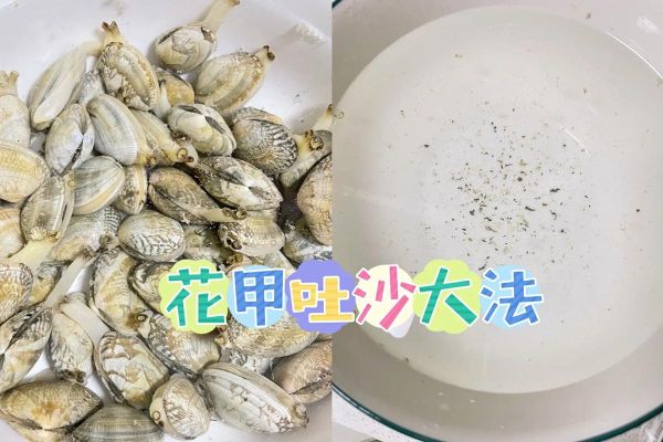 花甲怎样去沙子_花甲吐沙最快方法-第2张图片-山城妙识 花甲怎样去沙子_花甲吐沙最快方法-第2张图片-山城妙识