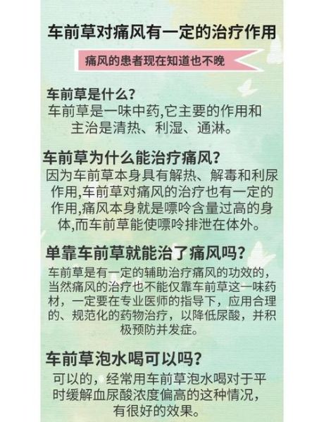 车前草泡水治痛风有效吗_车前草降尿酸多久见效-第1张图片-山城妙识