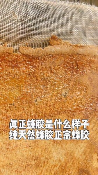 蜂胶胶囊是骗局吗_如何辨别真假蜂胶-第3张图片-山城妙识