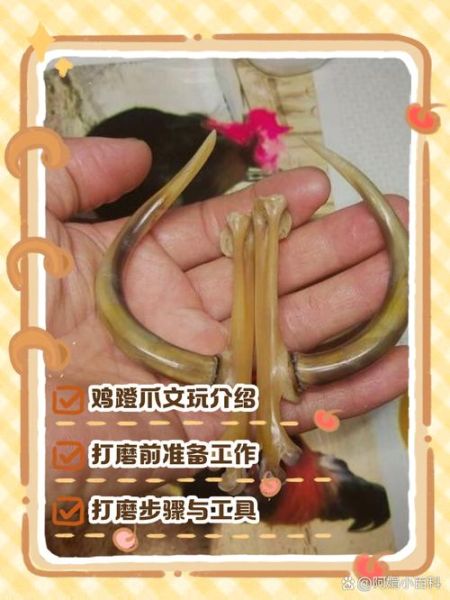 鸡爪子文玩怎么盘_鸡爪子文玩多少钱-第1张图片-山城妙识