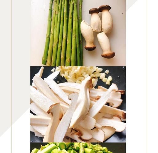 杏鲍笋笋的种类有哪些_如何挑选优质杏鲍笋笋-第1张图片-山城妙识 杏鲍笋笋的种类有哪些_如何挑选优质杏鲍笋笋-第1张图片-山城妙识