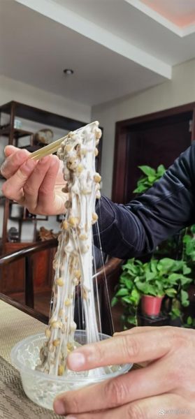 纳豆拉丝更多窍门_如何让纳豆拉丝更长-第1张图片-山城妙识