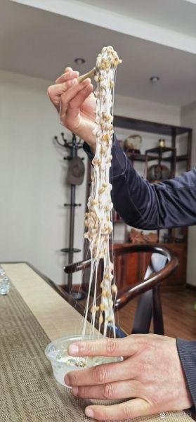 纳豆拉丝更多窍门_如何让纳豆拉丝更长-第2张图片-山城妙识