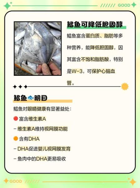 鲳鱼的营养价值_孕妇能吃鲳鱼吗-第1张图片-山城妙识 鲳鱼的营养价值_孕妇能吃鲳鱼吗-第1张图片-山城妙识