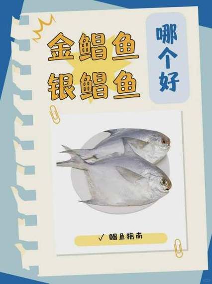 鲳鱼的营养价值_孕妇能吃鲳鱼吗-第2张图片-山城妙识 鲳鱼的营养价值_孕妇能吃鲳鱼吗-第2张图片-山城妙识