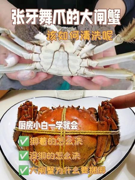 大闸蟹怎么清洗才干净_大闸蟹清洗步骤-第2张图片-山城妙识 大闸蟹怎么清洗才干净_大闸蟹清洗步骤-第2张图片-山城妙识