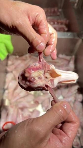 鸭头哪里不能吃_鸭头哪些部位不能吃-第1张图片-山城妙识