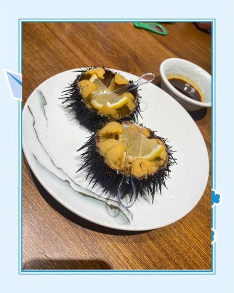 海胆生吃安全吗_如何挑选新鲜海胆-第3张图片-山城妙识