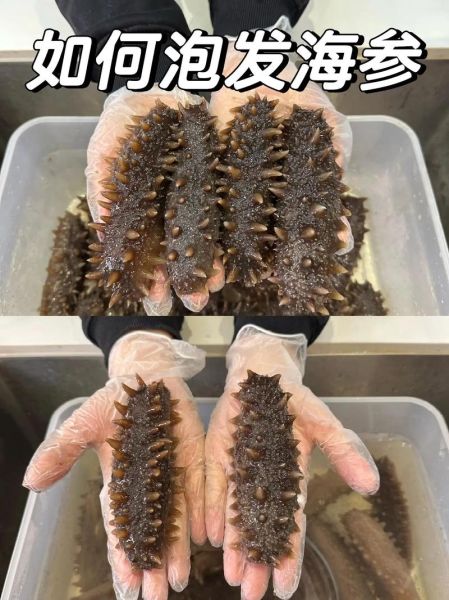 野生海参怎么泡发_野生海参泡发多久-第1张图片-山城妙识