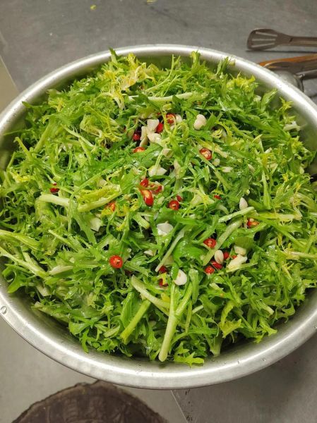 苦菊怎么凉拌好吃_苦菊的简单做法窍门-第1张图片-山城妙识