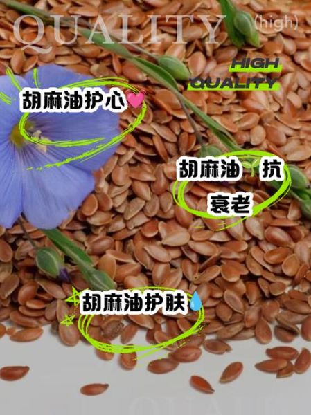 胡麻油的功效与作用_胡麻油怎么吃最健康-第3张图片-山城妙识 胡麻油的功效与作用_胡麻油怎么吃最健康-第3张图片-山城妙识