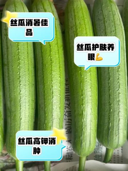 男人多吃丝瓜影响性功能吗_丝瓜对男性激素的真相-第1张图片-山城妙识 男人多吃丝瓜影响性功能吗_丝瓜对男性激素的真相-第1张图片-山城妙识