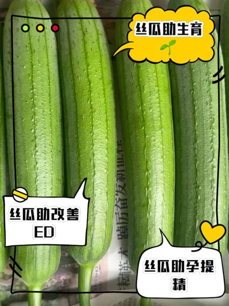 男人多吃丝瓜影响性功能吗_丝瓜对男性激素的真相-第2张图片-山城妙识 男人多吃丝瓜影响性功能吗_丝瓜对男性激素的真相-第2张图片-山城妙识