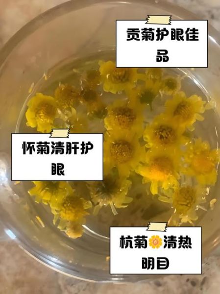 什么菊花泡茶最好_哪种菊花泡茶最香-第3张图片-山城妙识 什么菊花泡茶最好_哪种菊花泡茶最香-第3张图片-山城妙识