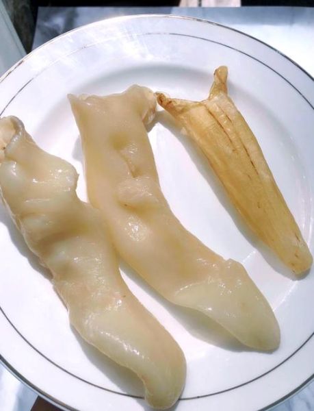 黄花胶的做法大全_黄花胶怎么泡发最好-第3张图片-山城妙识