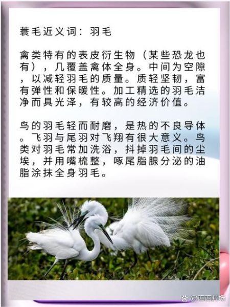 蓑怎么读音_蓑字拼音是什么-第2张图片-山城妙识 蓑怎么读音_蓑字拼音是什么-第2张图片-山城妙识