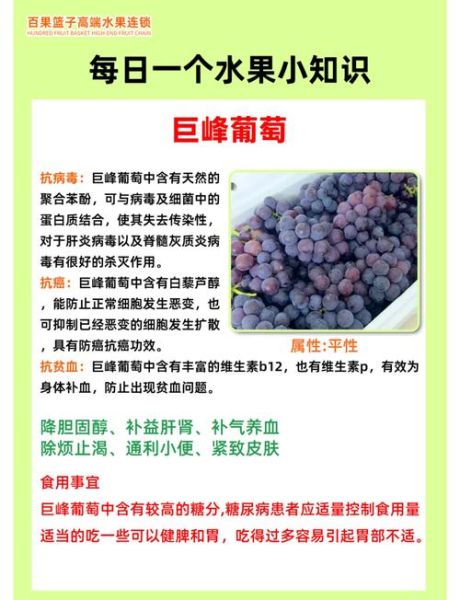 葡萄的药用价值有哪些_葡萄的功效与作用-第1张图片-山城妙识 葡萄的药用价值有哪些_葡萄的功效与作用-第1张图片-山城妙识