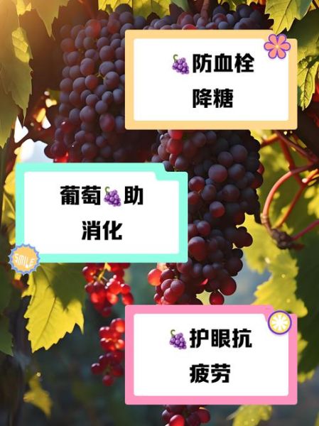 葡萄的药用价值有哪些_葡萄的功效与作用-第3张图片-山城妙识 葡萄的药用价值有哪些_葡萄的功效与作用-第3张图片-山城妙识