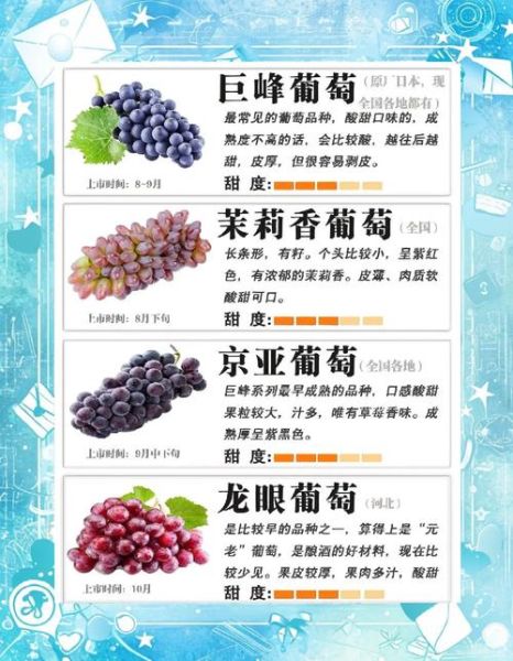 葡萄的药用价值有哪些_葡萄的功效与作用-第2张图片-山城妙识 葡萄的药用价值有哪些_葡萄的功效与作用-第2张图片-山城妙识