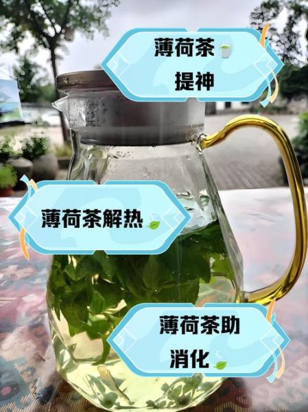 薄荷茶的功效与作用及禁忌_薄荷茶什么人不能喝-第1张图片-山城妙识 薄荷茶的功效与作用及禁忌_薄荷茶什么人不能喝-第1张图片-山城妙识