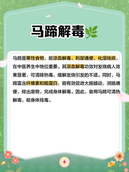 马蹄生吃有什么好处_马蹄生吃能降火吗-第3张图片-山城妙识 马蹄生吃有什么好处_马蹄生吃能降火吗-第3张图片-山城妙识