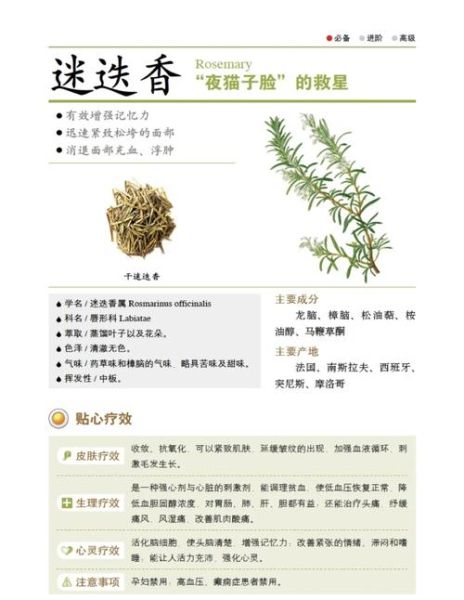 迷迭香茶哪些人不能喝_迷迭香茶副作用-第2张图片-山城妙识 迷迭香茶哪些人不能喝_迷迭香茶副作用-第2张图片-山城妙识